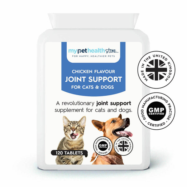 Pet Joint Support for Cats & Dogs – My Pet Sensitivity