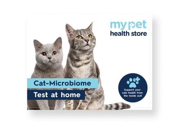 Cat Microbiome Test | Gut Health Testing for Cats